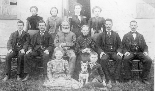 Home Page [thesoukups.com]